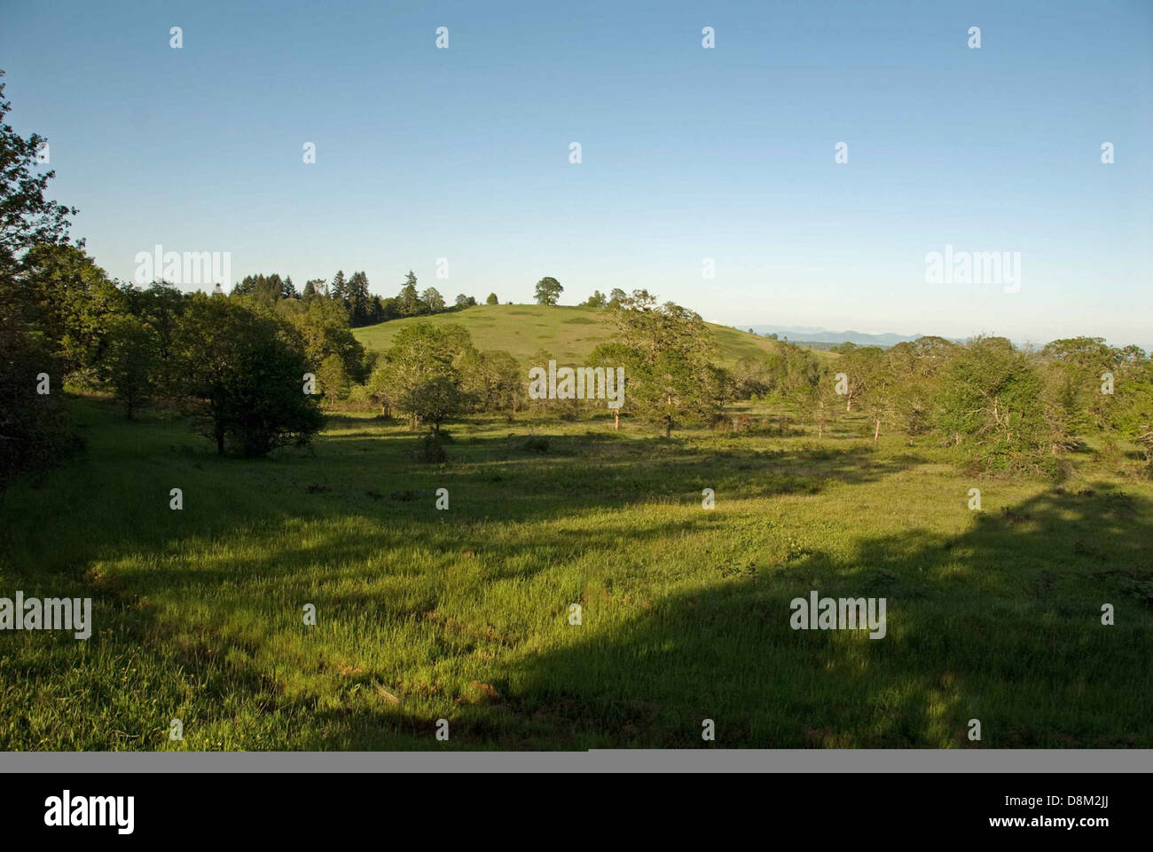 A vast green flat landscape, featuring expansive fields and gently ...