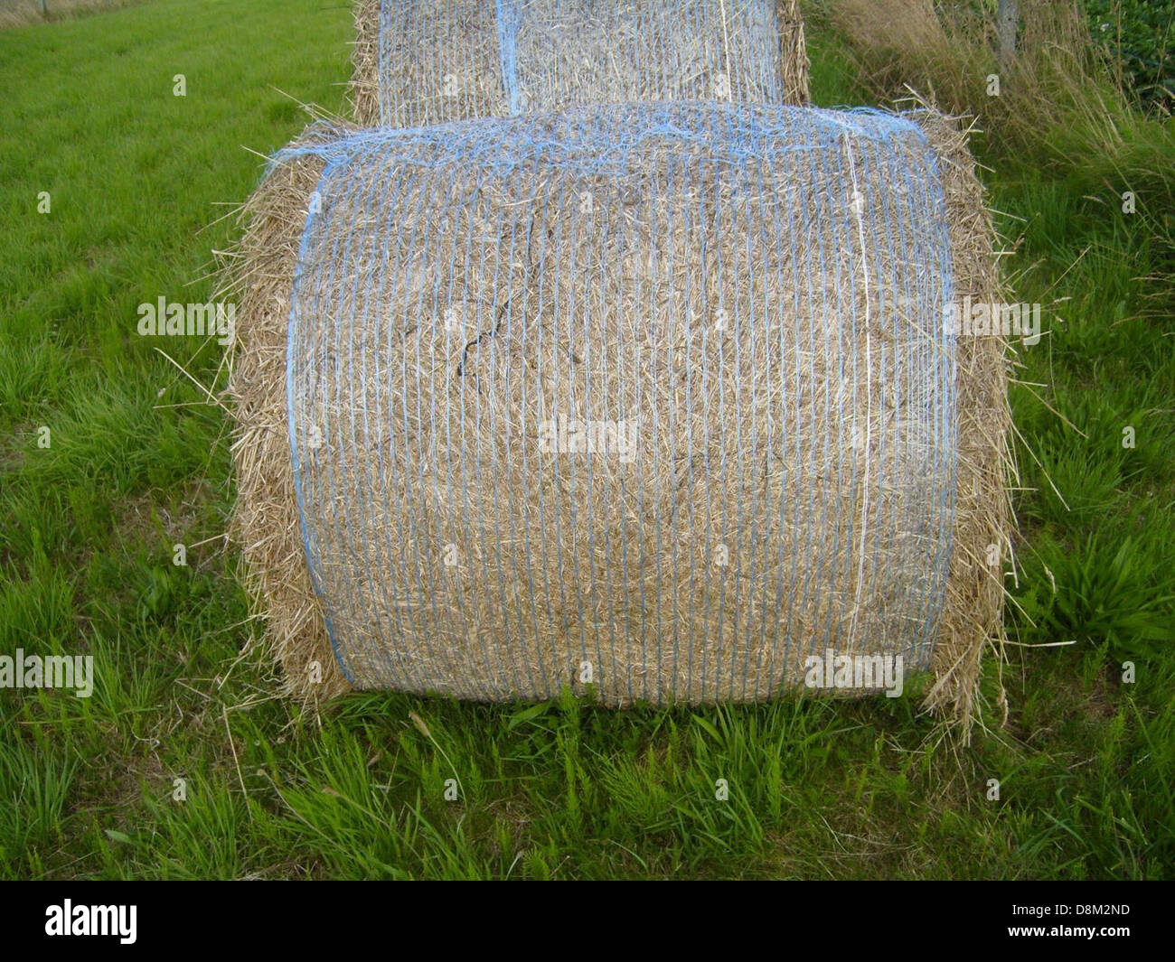 A hay roll placed in the middle of a grassy field. The image shows the ...