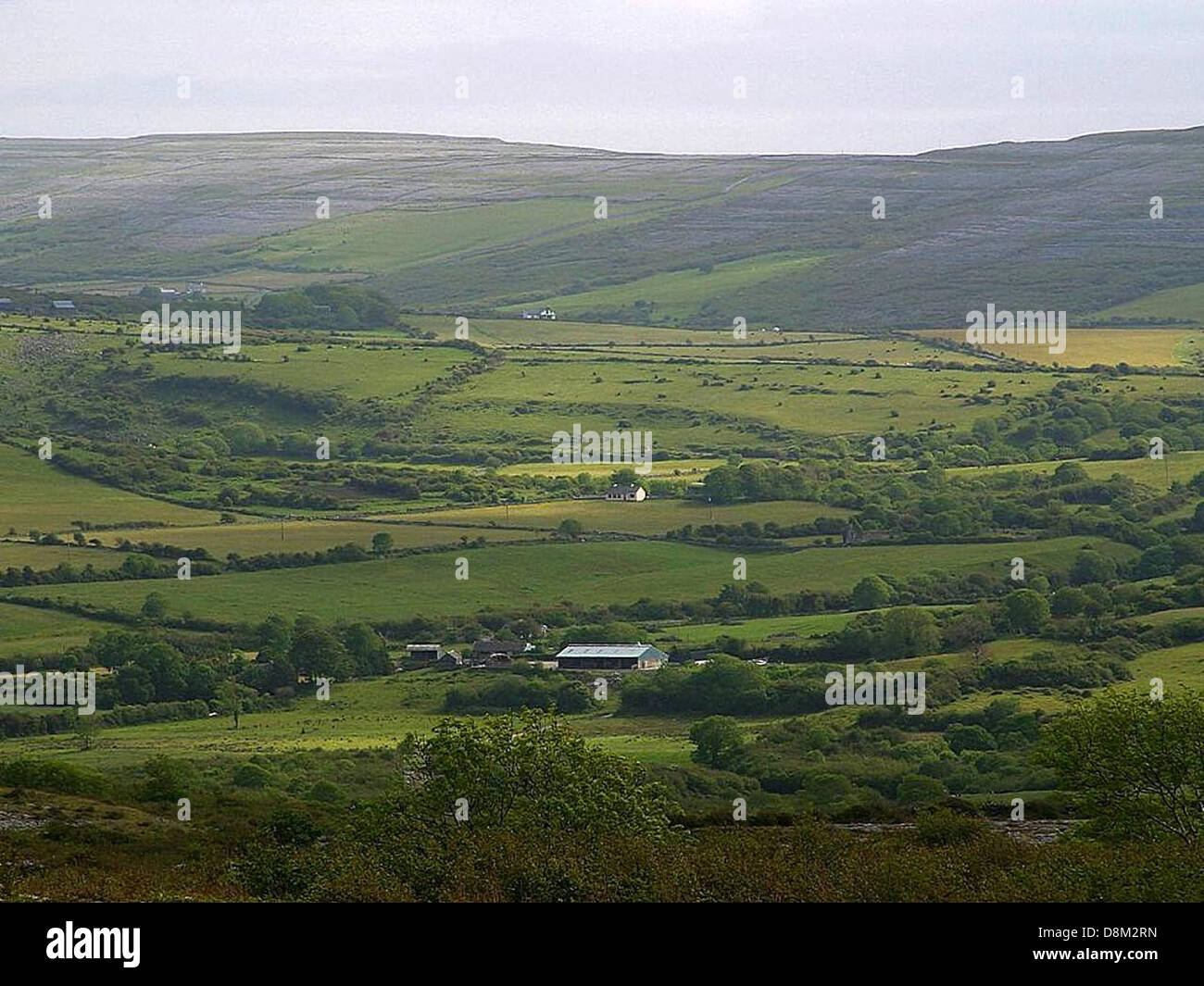 This image captures the scenic fields of the Burren in Ireland, with ...