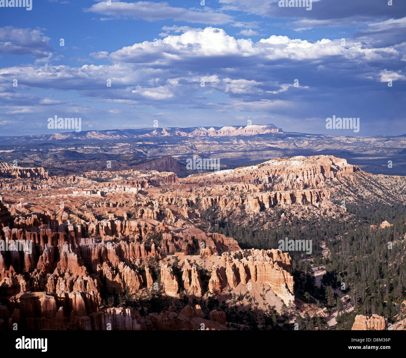 Hoodoos caused by erosion, Bryce Canyon National Park, Utah, USA Stock ...