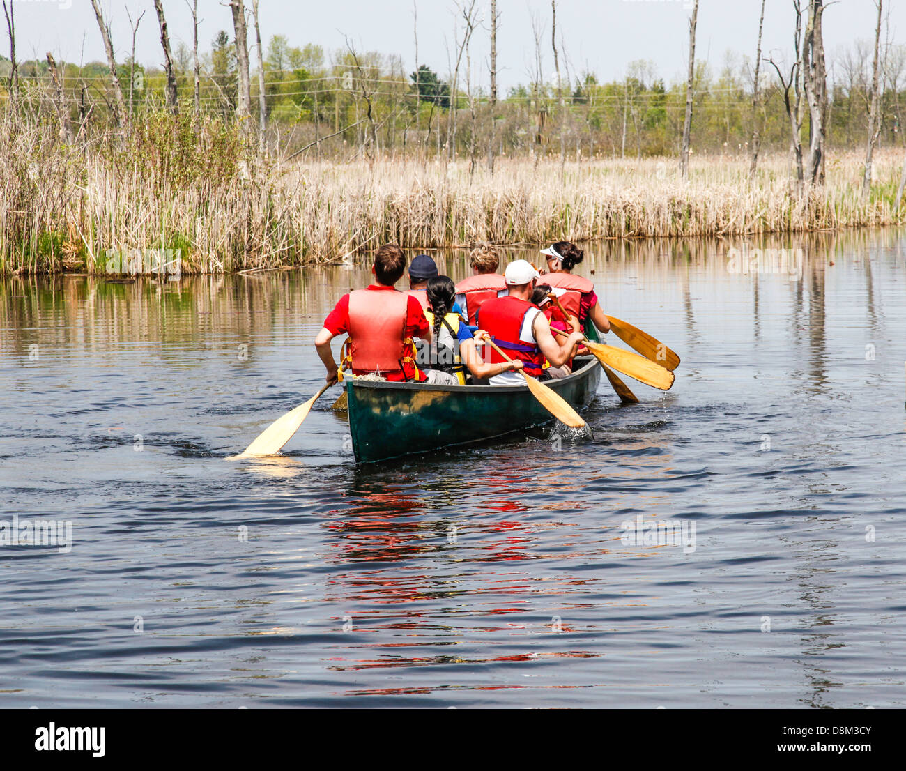 Canoe trip in the wetlands at Wye Marsh in Midland;Ontario;Canada;North ...