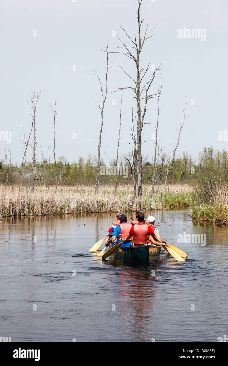 Wye marsh midland ontario hi-res stock photography and images - Alamy