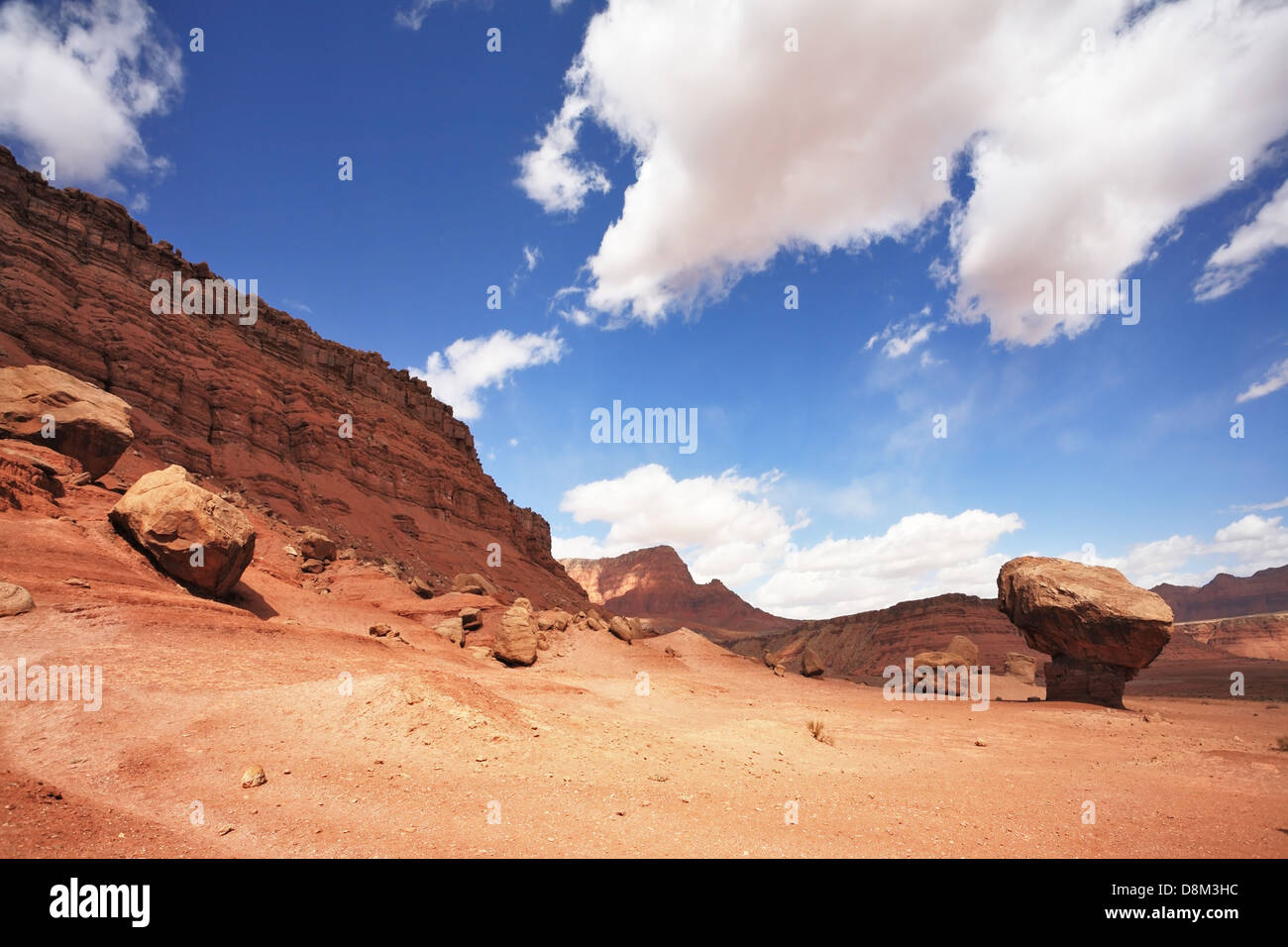 Arizona Mushroom High Resolution Stock Photography and Images - Alamy