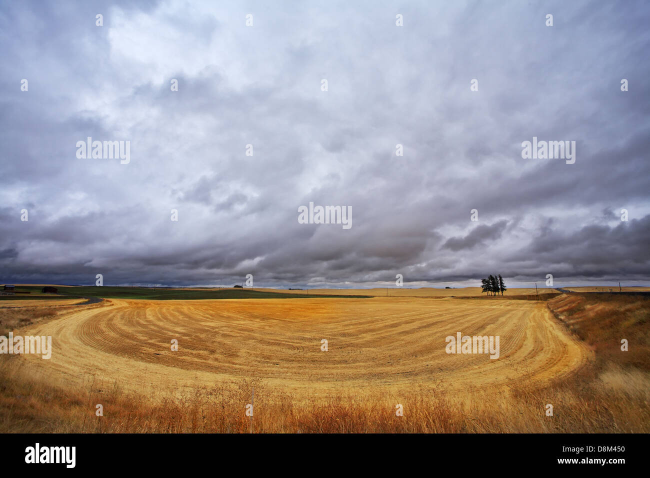 Huge crop field hi-res stock photography and images - Alamy