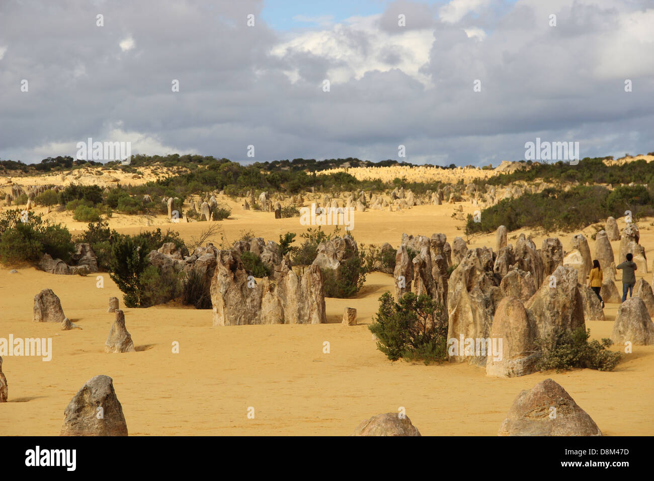 The Pinnacles desert discovery are naturally formed limestone pillars ...