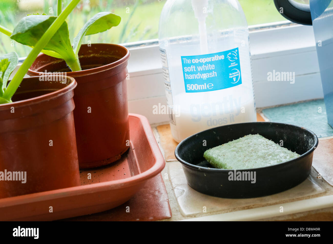 Scrubbing with soap hi-res stock photography and images - Alamy