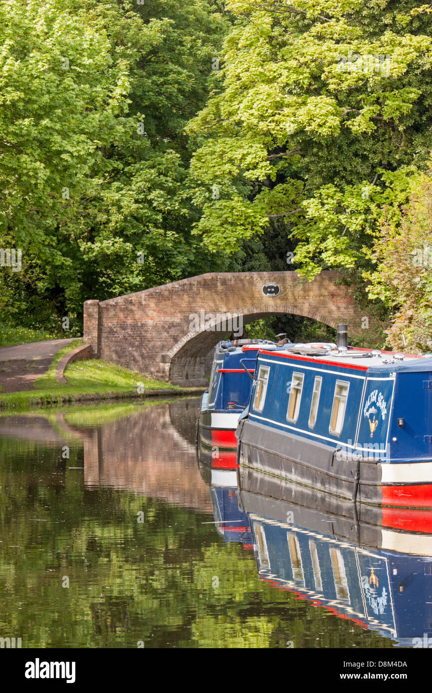 Narrowboats moored on the Staffs & Worcester Canal, Storton Junction ...
