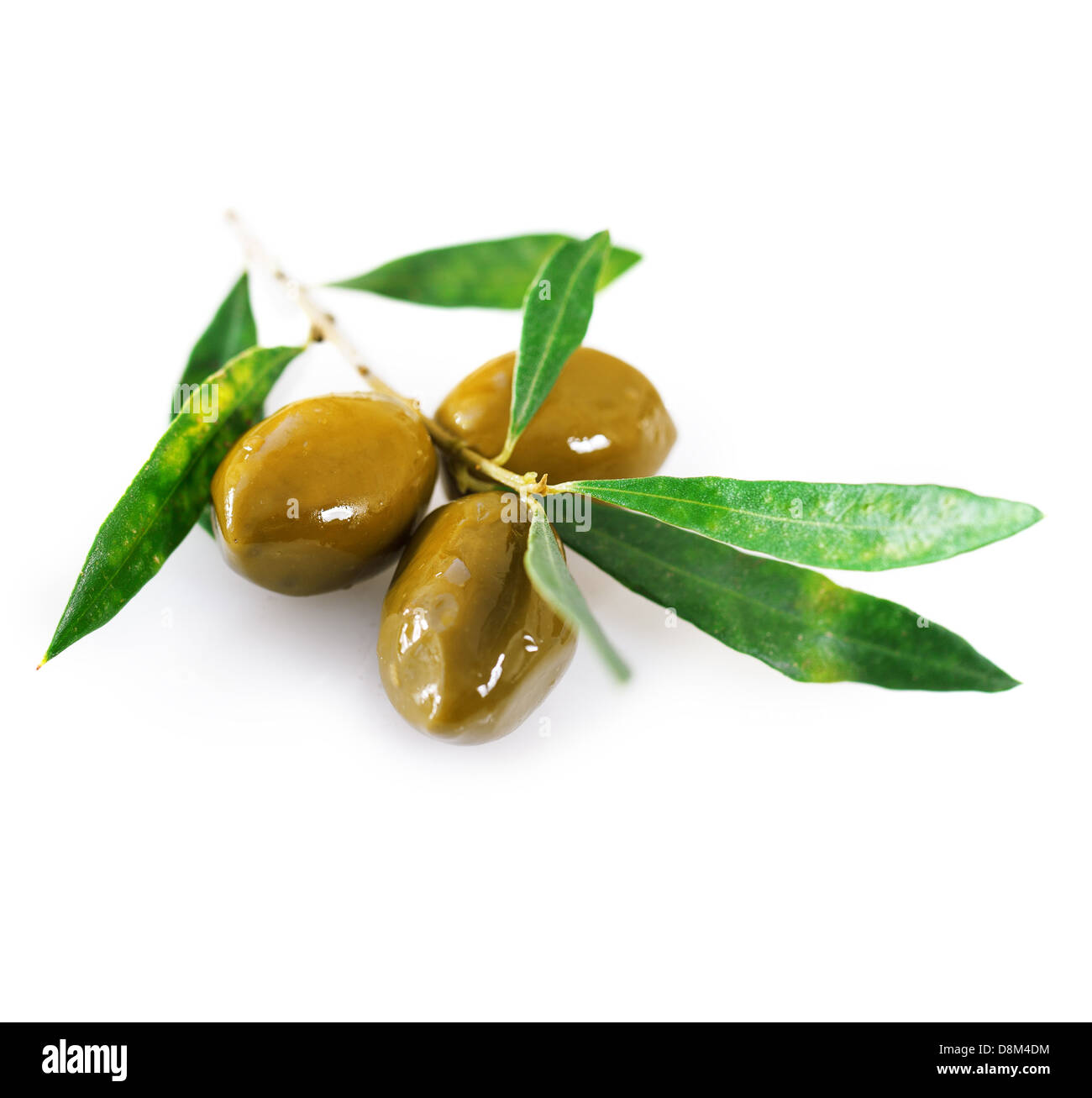 Ripe green olives with leaves Stock Photo - Alamy