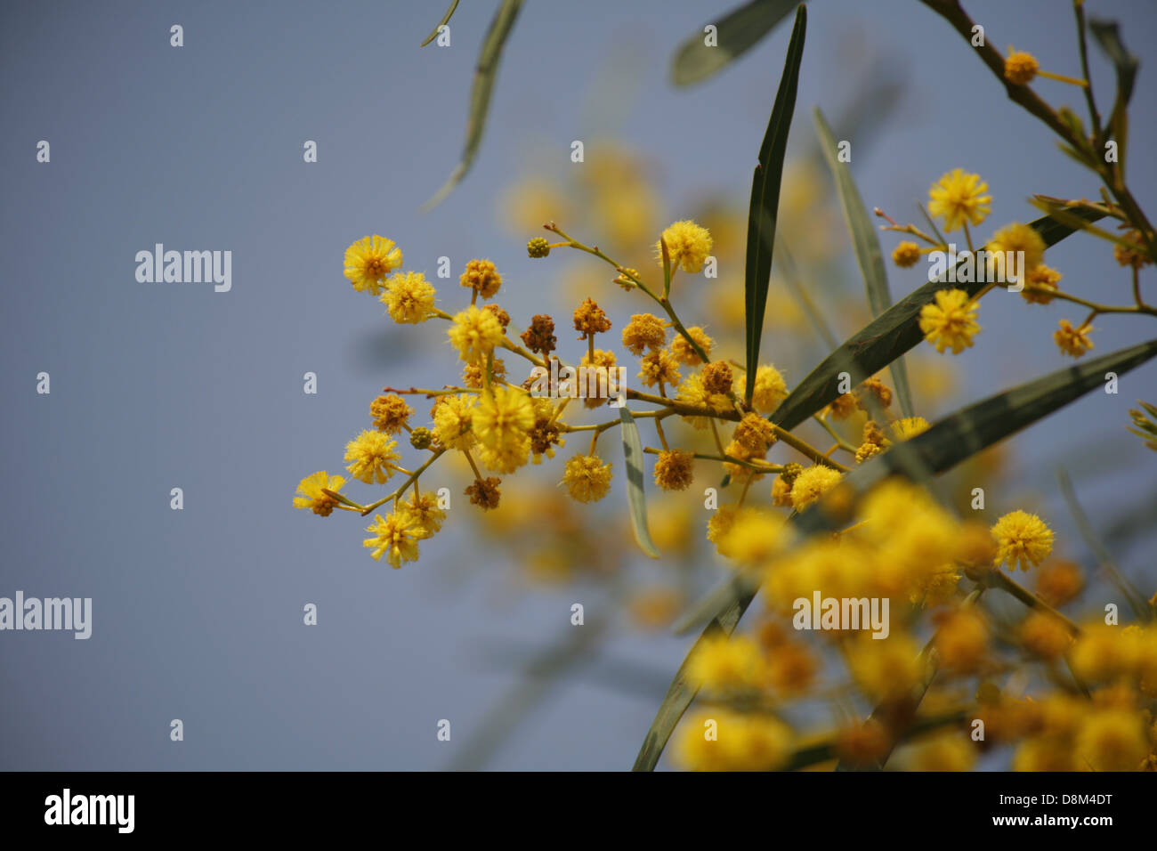 Charming rural environment hi-res stock photography and images - Alamy