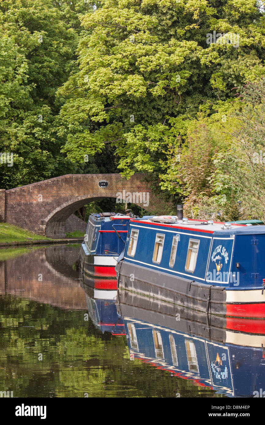 Narrowboats moored on the Staffs & Worcester Canal, Storton Junction ...
