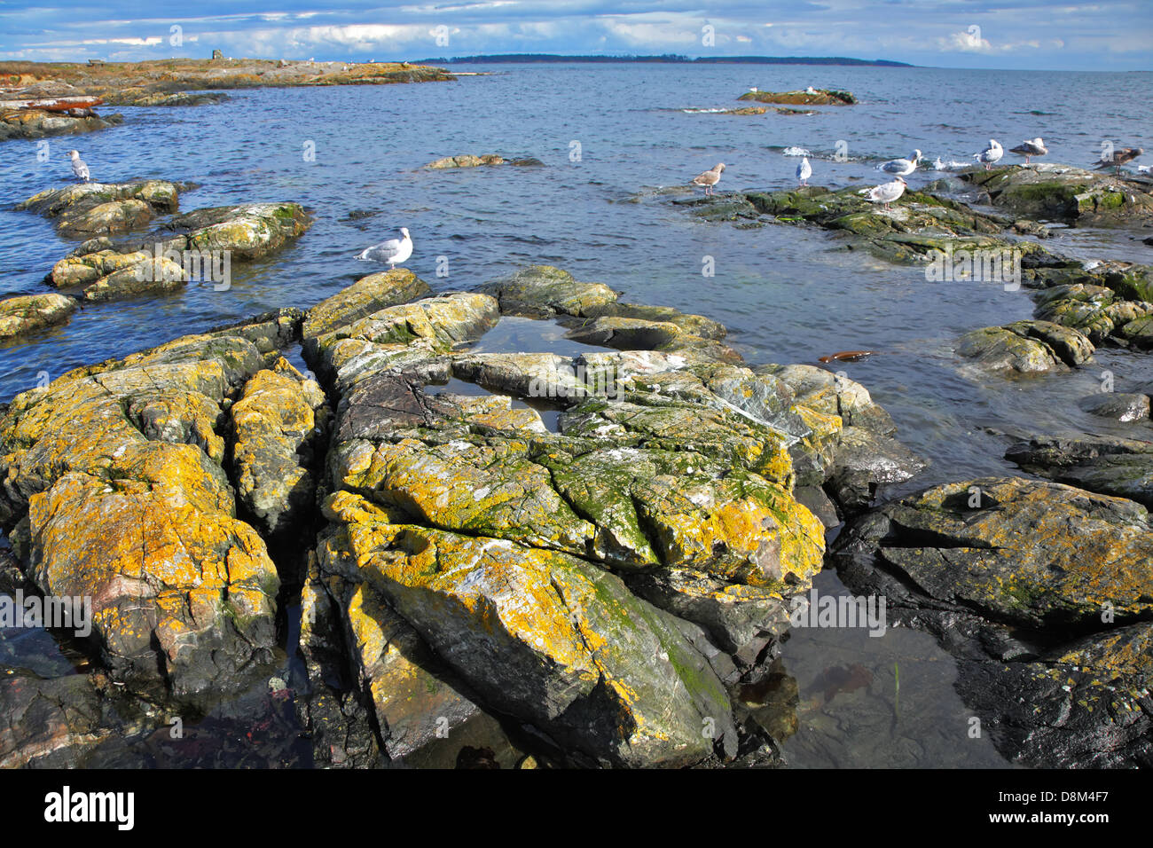 The passage of island Vancouver Stock Photo - Alamy