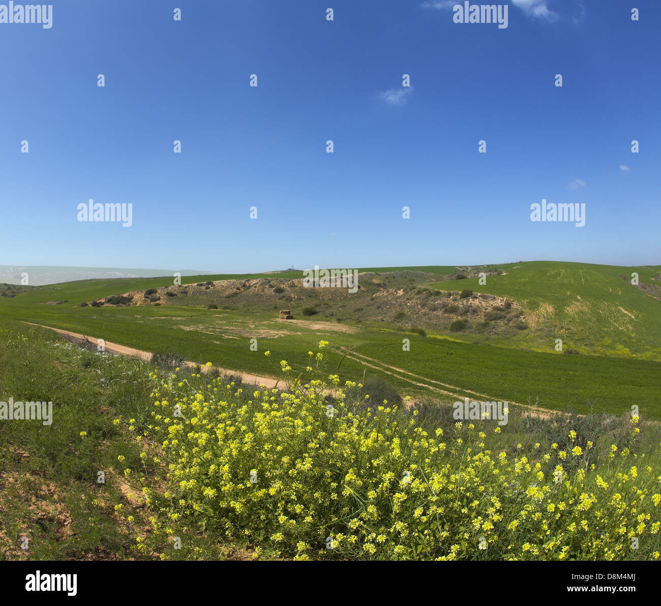 Floor spring hi-res stock photography and images - Alamy