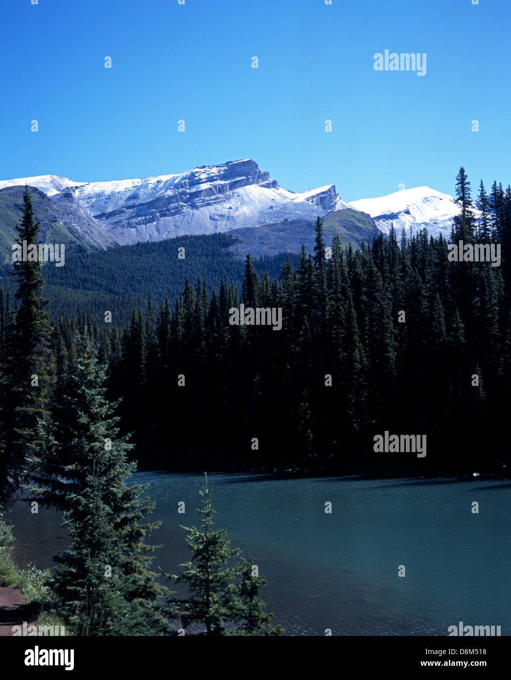 View across Maligne Lake towards snow capped mountains, Jasper National ...