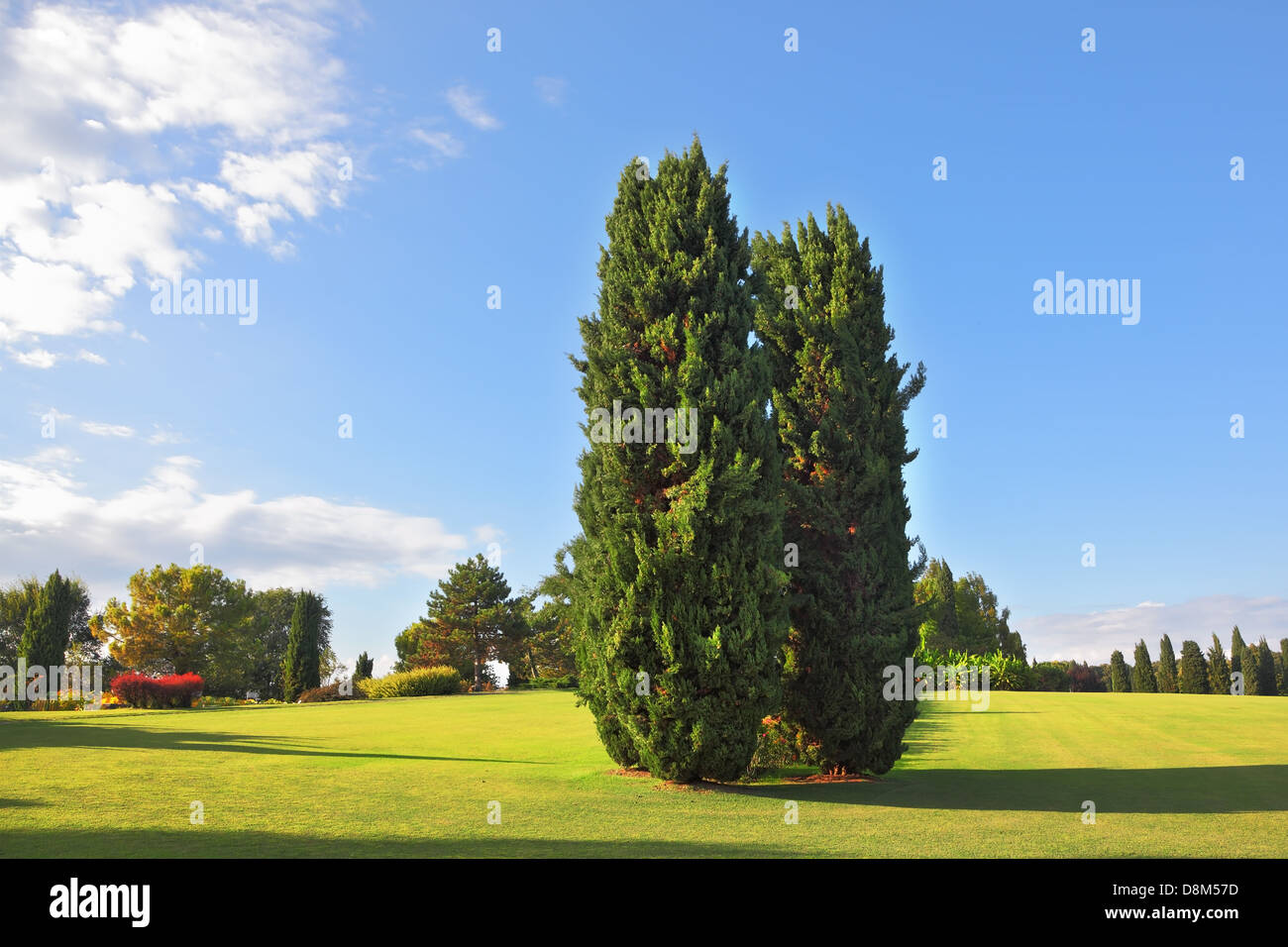 Large meadow hi-res stock photography and images - Alamy