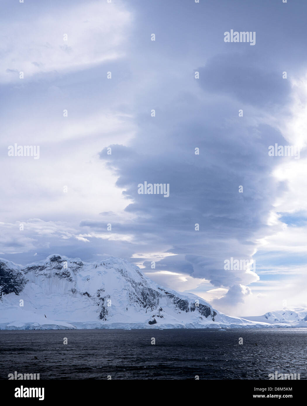 Seascape, Antarctic Peninsula, Bransfield Strait, Antarctica Stock ...