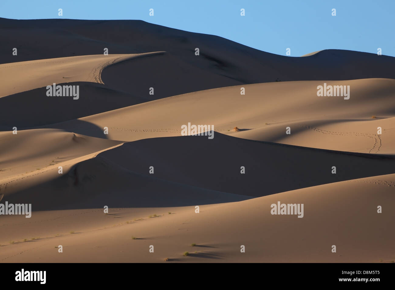 Shades of dawn hi-res stock photography and images - Alamy