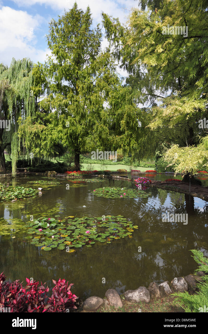 Shallow pond hi-res stock photography and images - Alamy