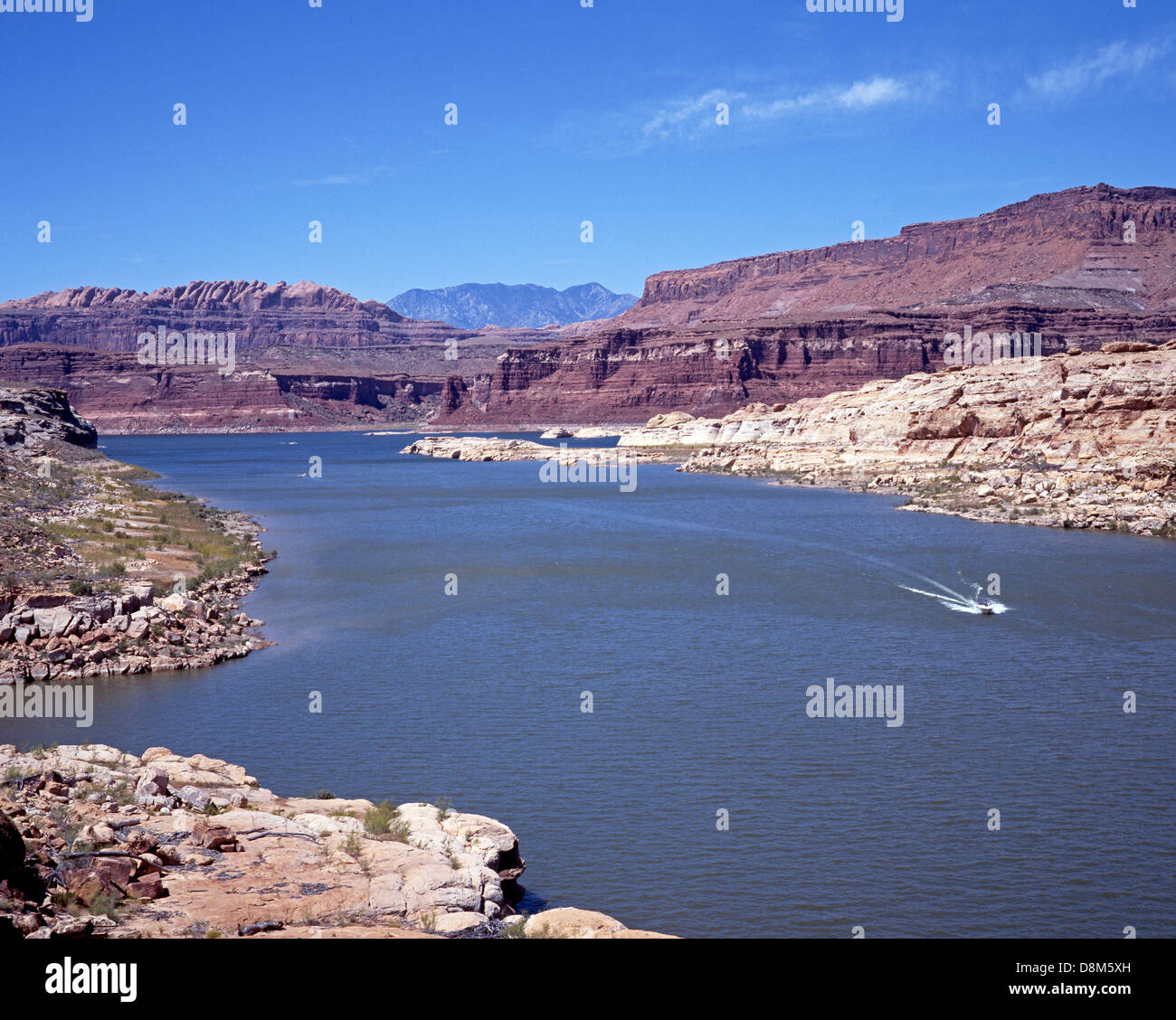 View of the lake, Lake Powell, Page, Arizona, USA Stock Photo - Alamy