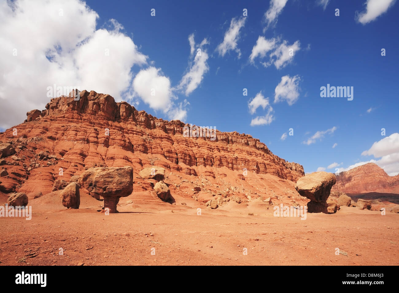 Arizona mushroom hi-res stock photography and images - Alamy