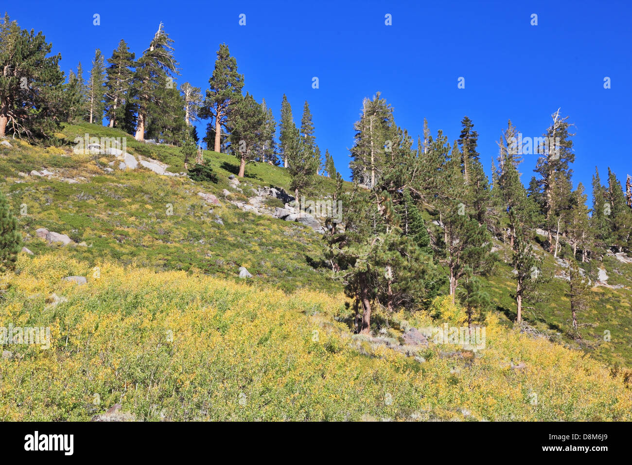 Grassy hillside hi-res stock photography and images - Alamy
