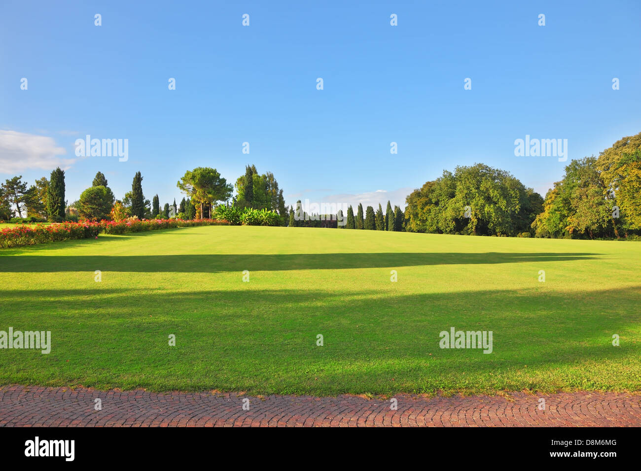 A large green meadow Stock Photo - Alamy