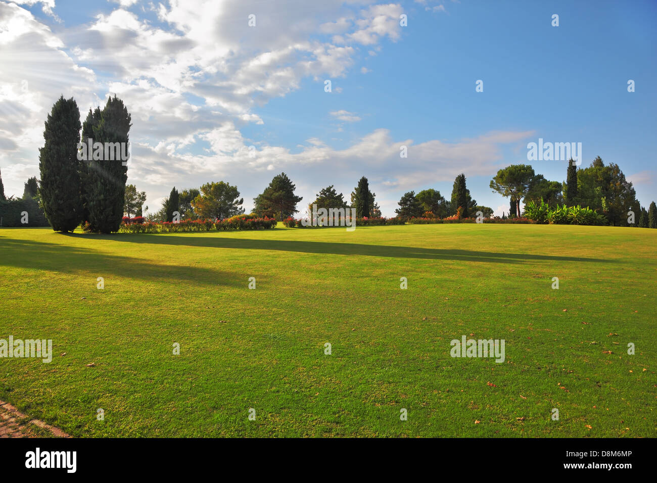 A large green meadow in the park Stock Photo - Alamy
