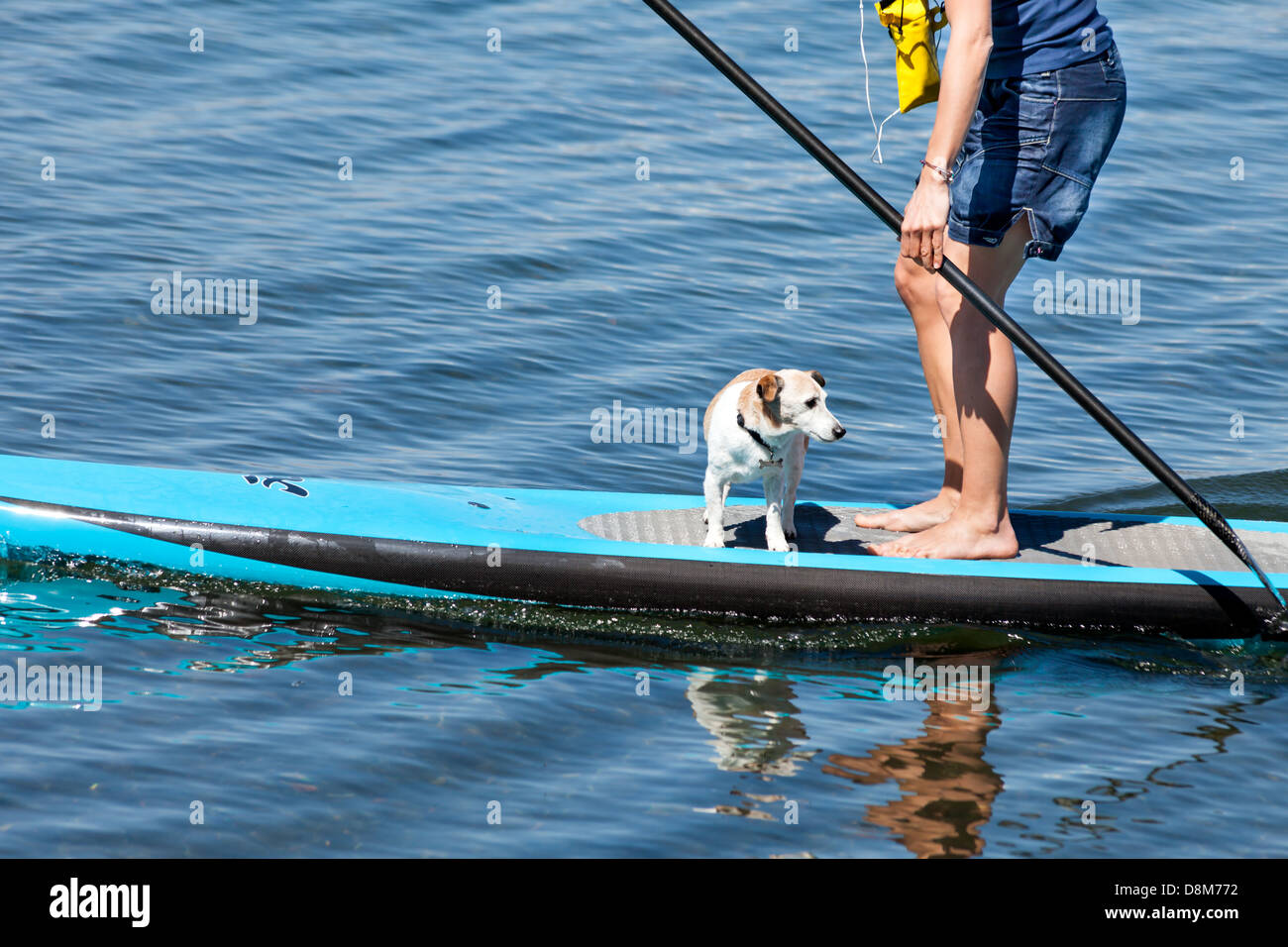 Surfer girl paddling hi-res stock photography and images - Alamy