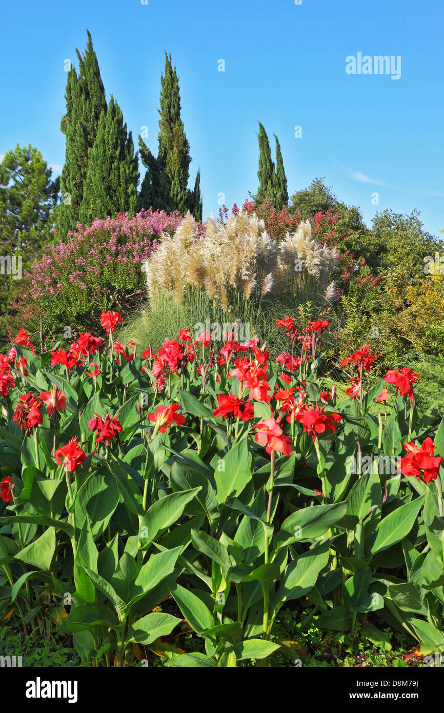 Fllowers and garden hi-res stock photography and images - Alamy