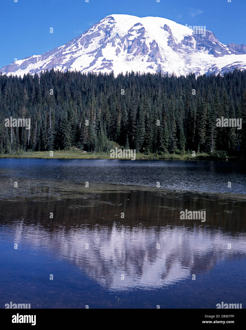 Mount ranier lake hi-res stock photography and images - Alamy