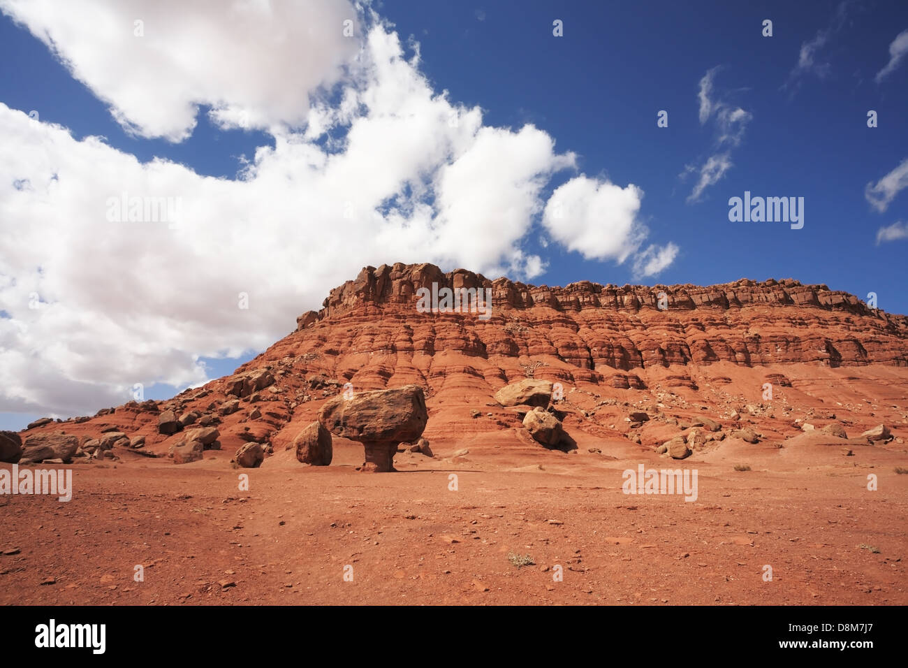 American desert hi-res stock photography and images - Alamy