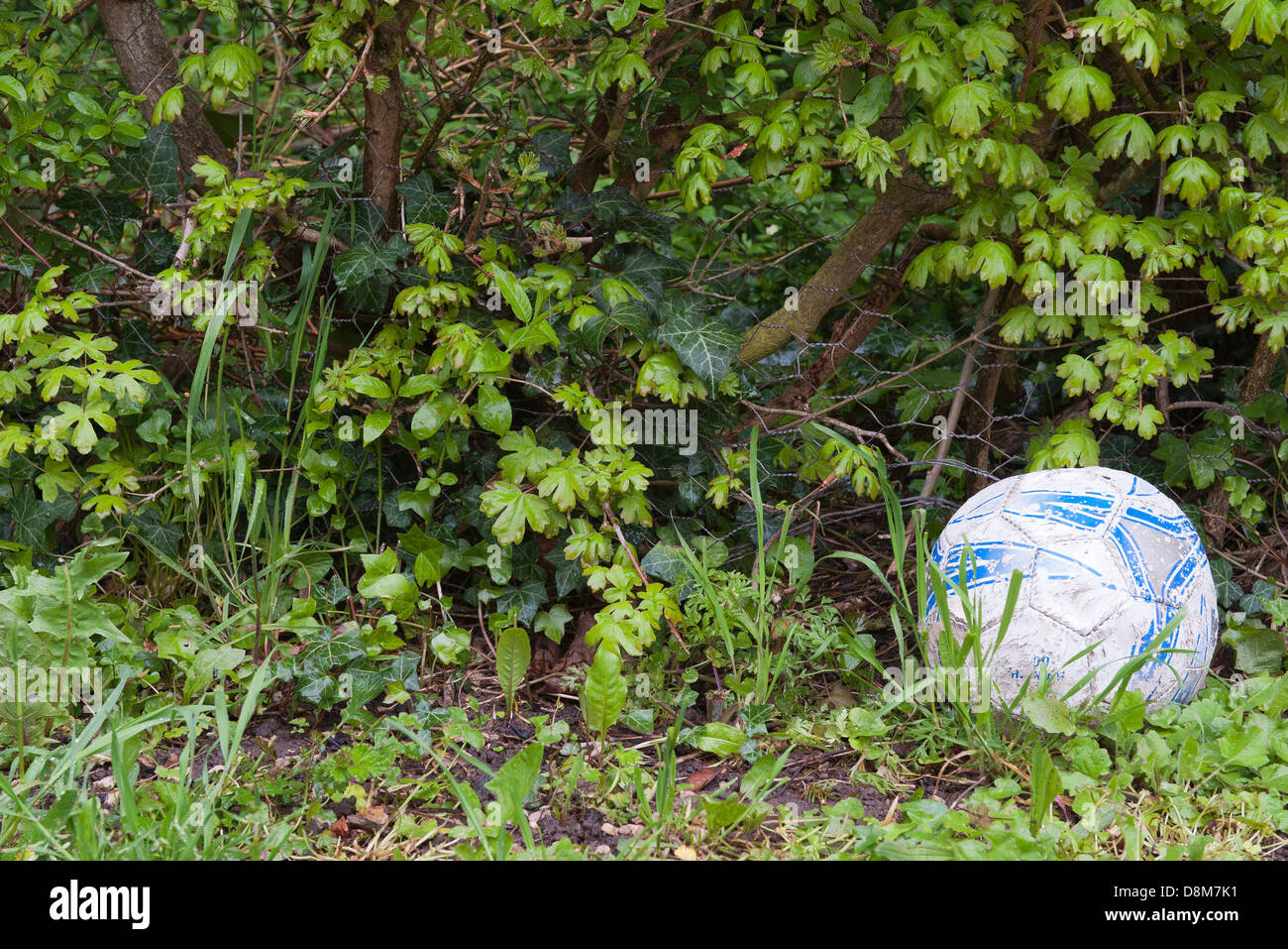 Abandoned soccer ball Stock Photo - Alamy