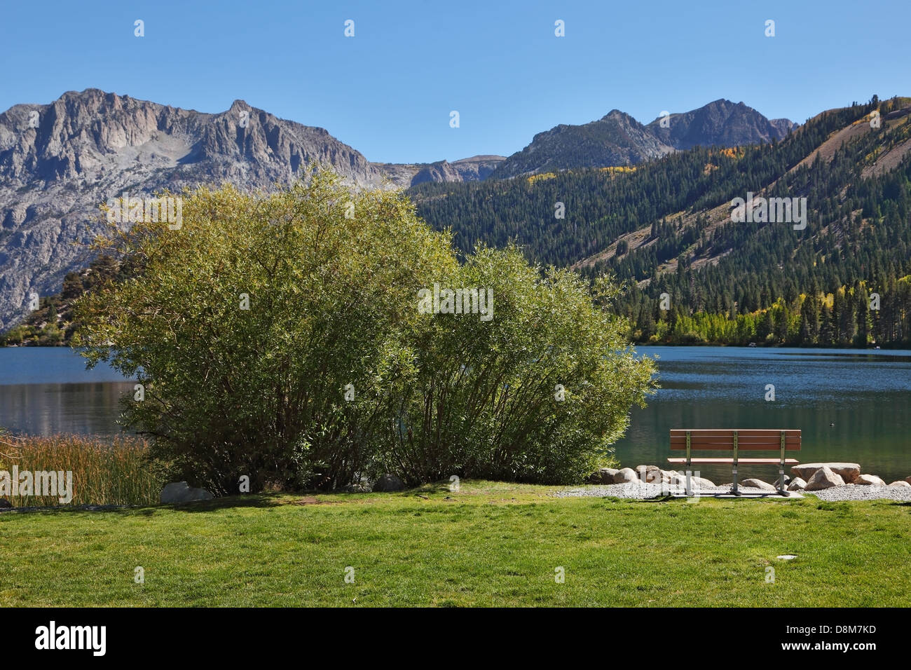 The cozy bench Stock Photo - Alamy