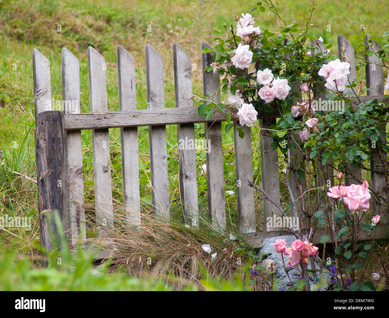 la traye,champagny en vanoise,savoie ,france Stock Photo - Alamy