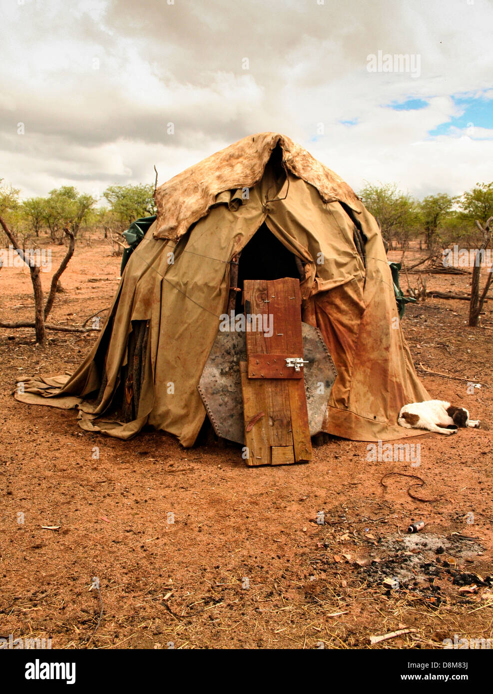 Himba hut dog resting hi-res stock photography and images - Alamy