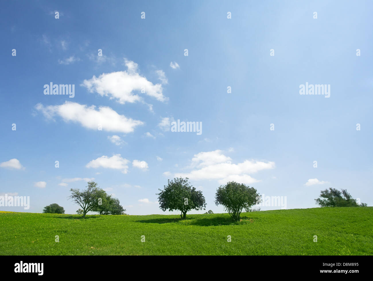 Clear spring day Stock Photo - Alamy