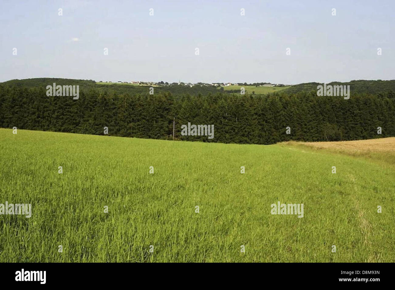 A vast landscape of green fields stretches across the horizon. The ...