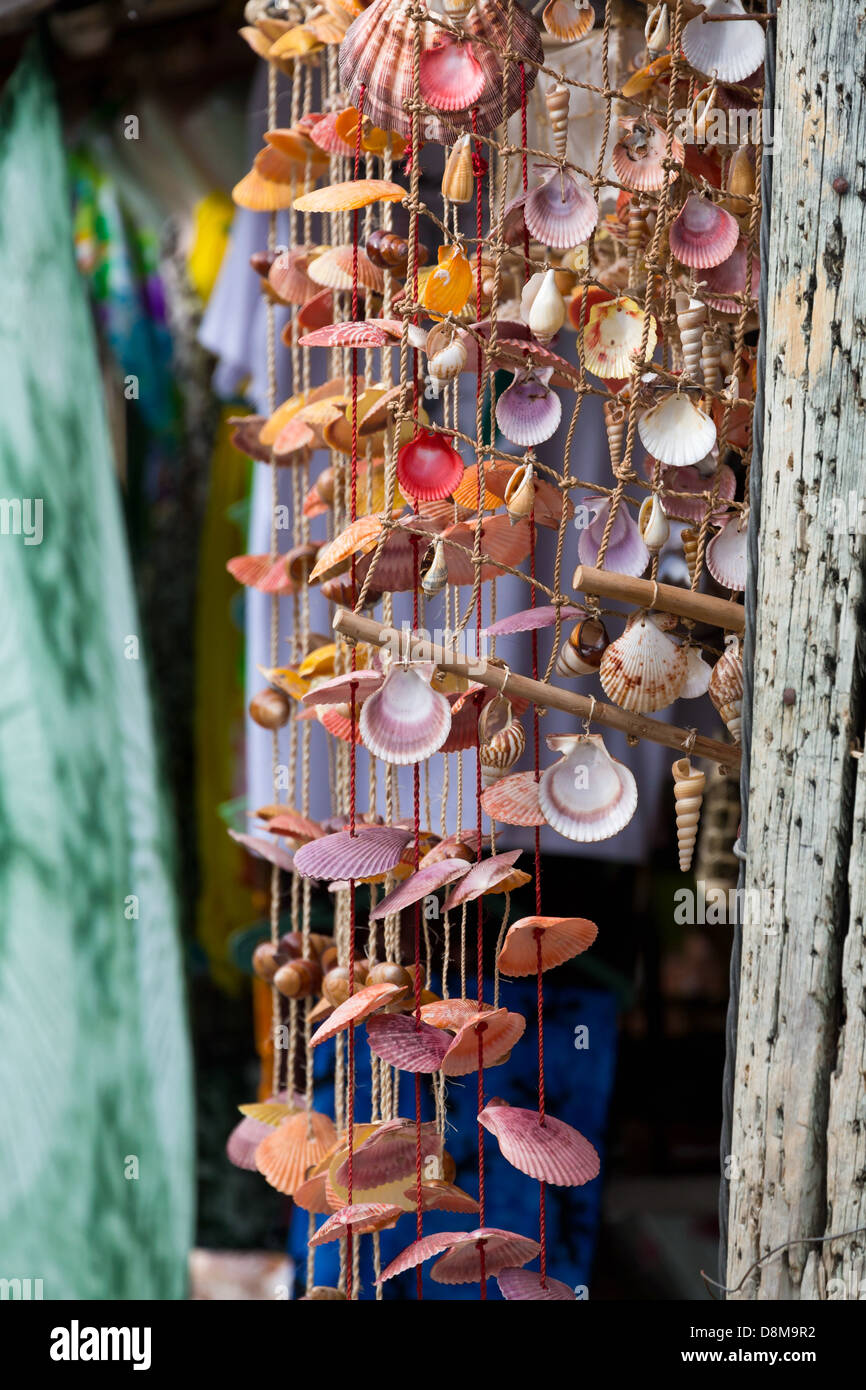 Colorful Shells in Panagsama Beach near Moalboal on Cebu Island ...