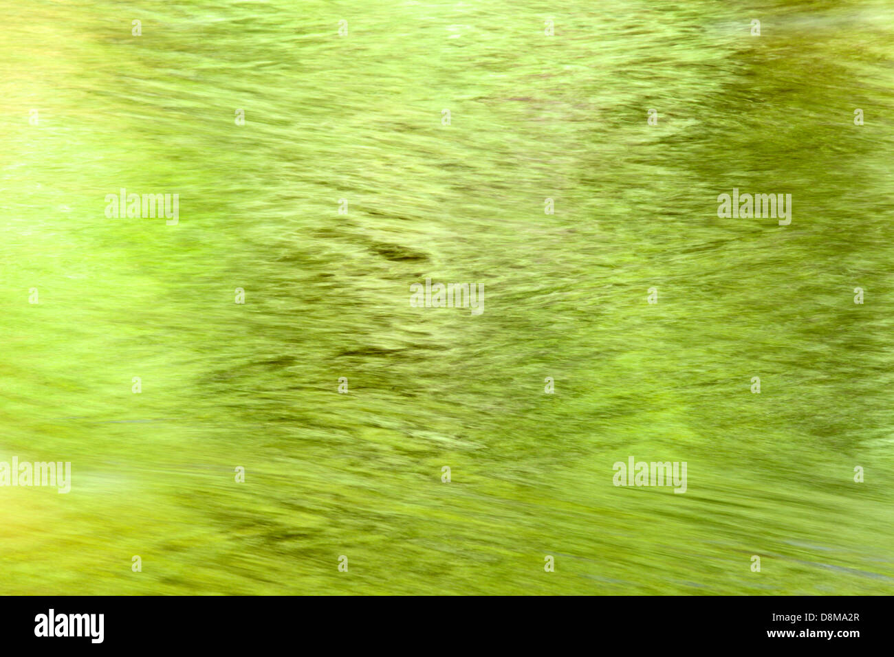 Spring Reflections in the River Nidd Nidd Gorge Knaresborough Yorkshire ...