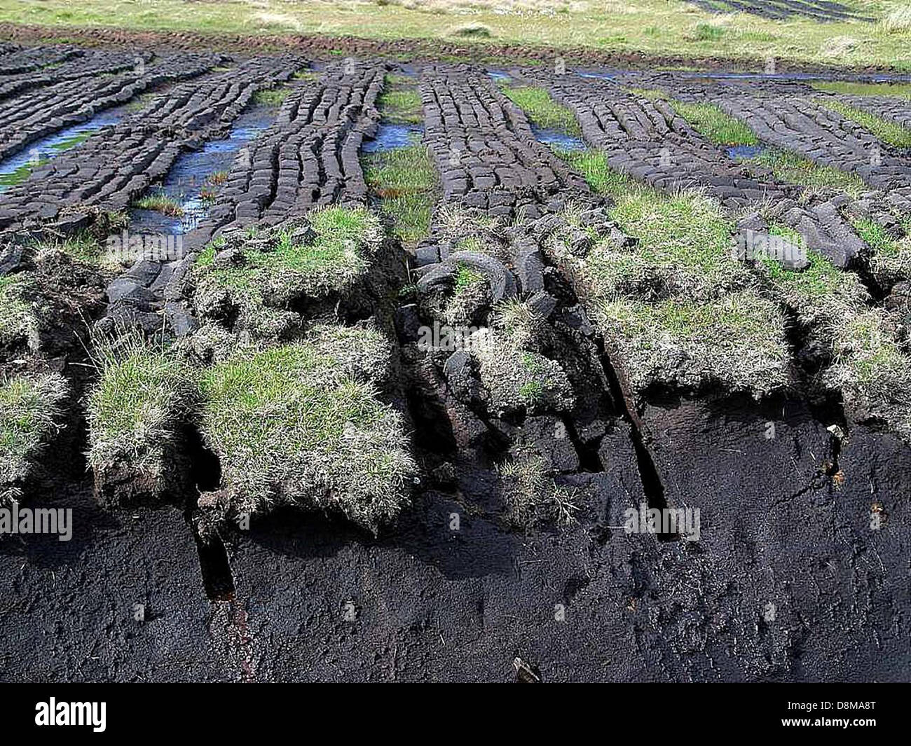The traditional practice of peat cutting in Ireland is shown, with ...