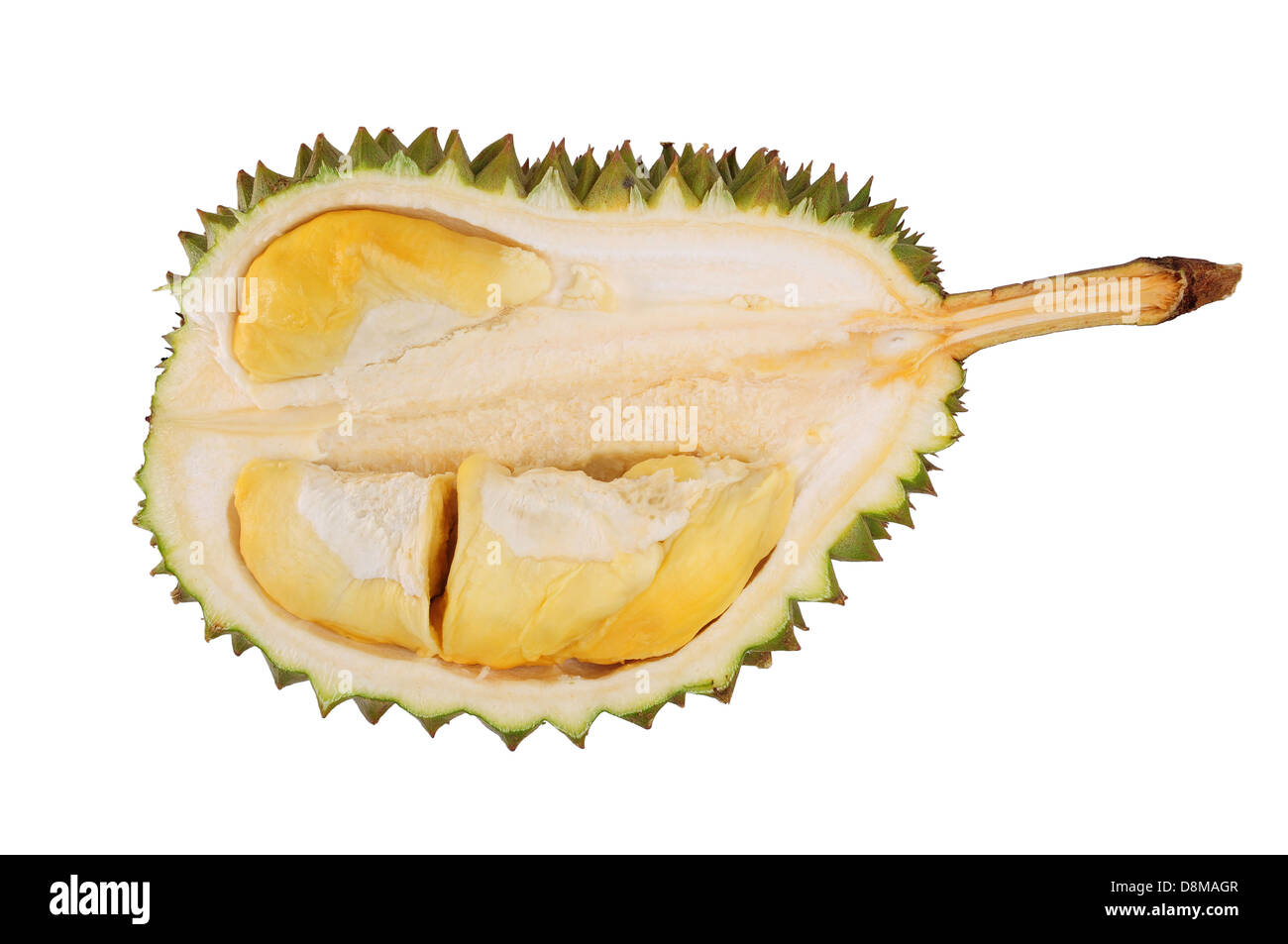 Durian hi-res stock photography and images - Alamy