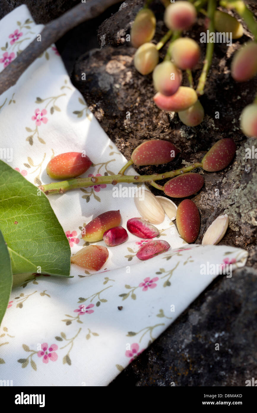 Pistachio bronte sicily hi-res stock photography and images - Alamy