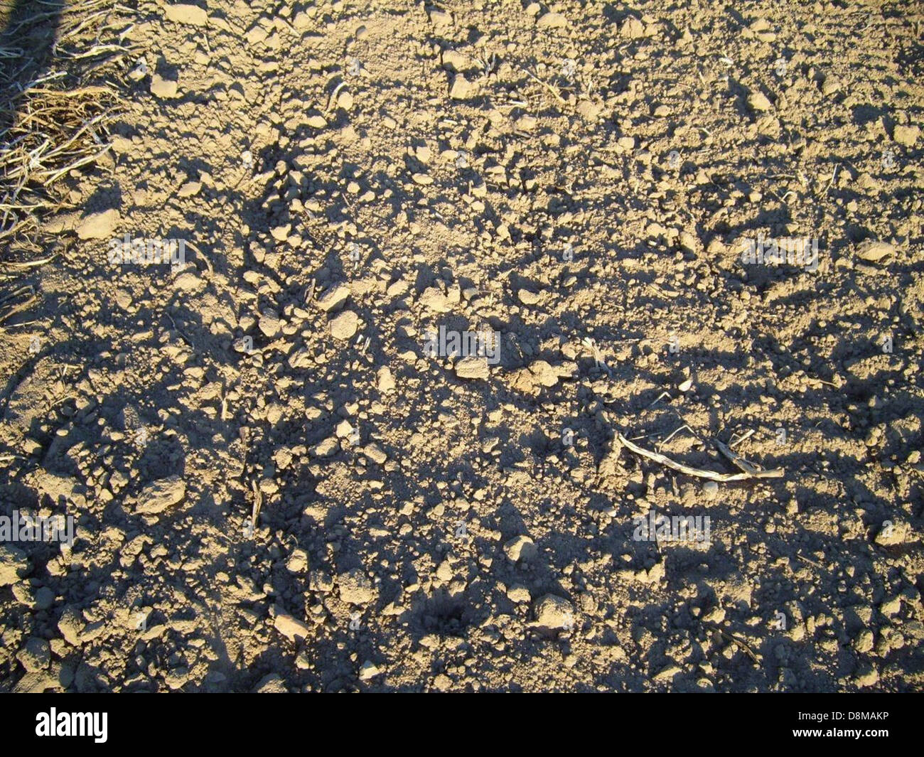 An aerial view of processed farm ground, showing plowed and cultivated ...