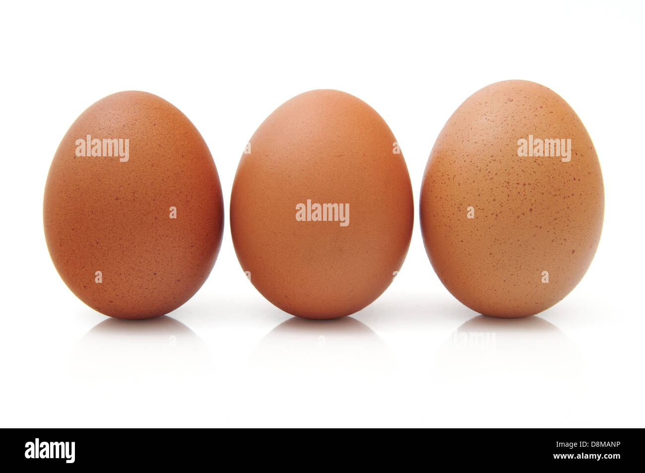 Eggs on white background Stock Photo - Alamy