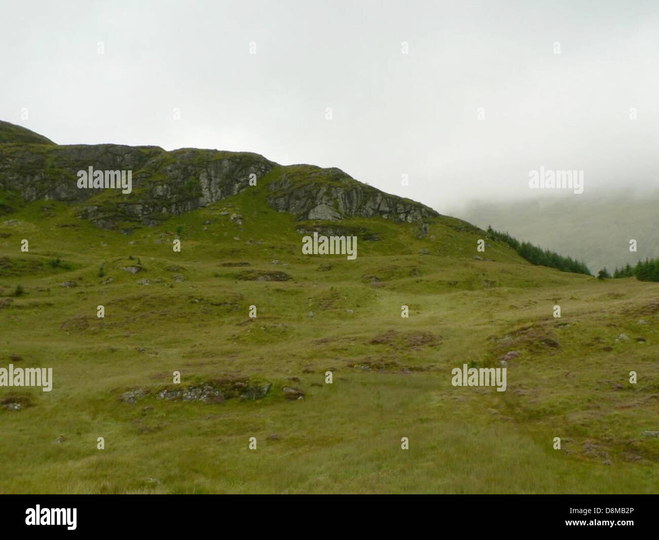 A scenic view of the rolling hills and green fields of the Scottish ...