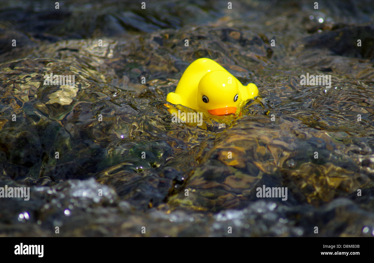 Yellow Rubber having an adventure Stock Photo - Alamy