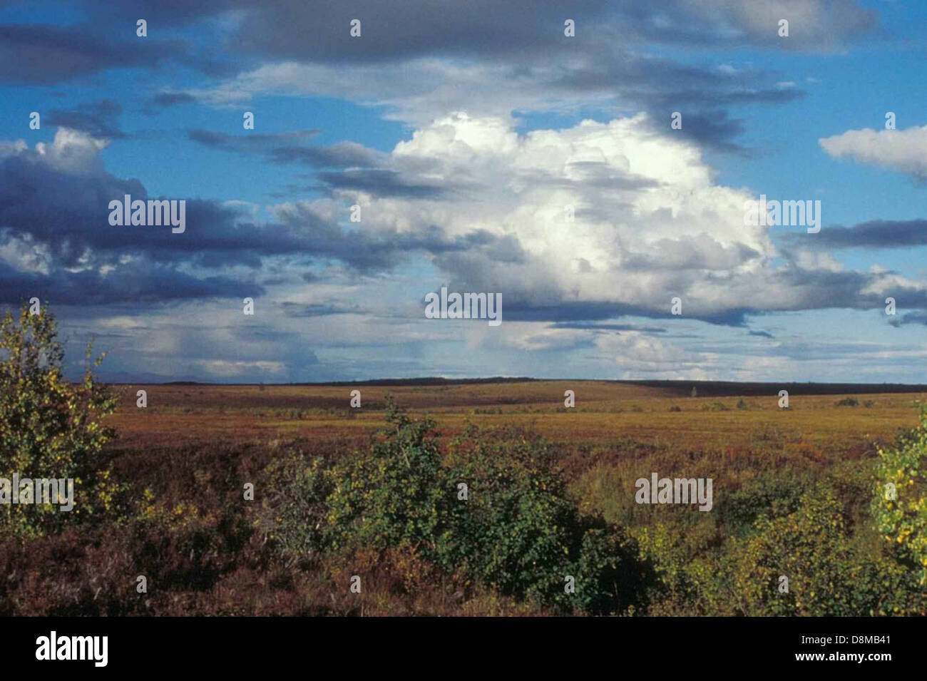 The Selawik Flats in Alaska offers a vast, flat landscape, with ...