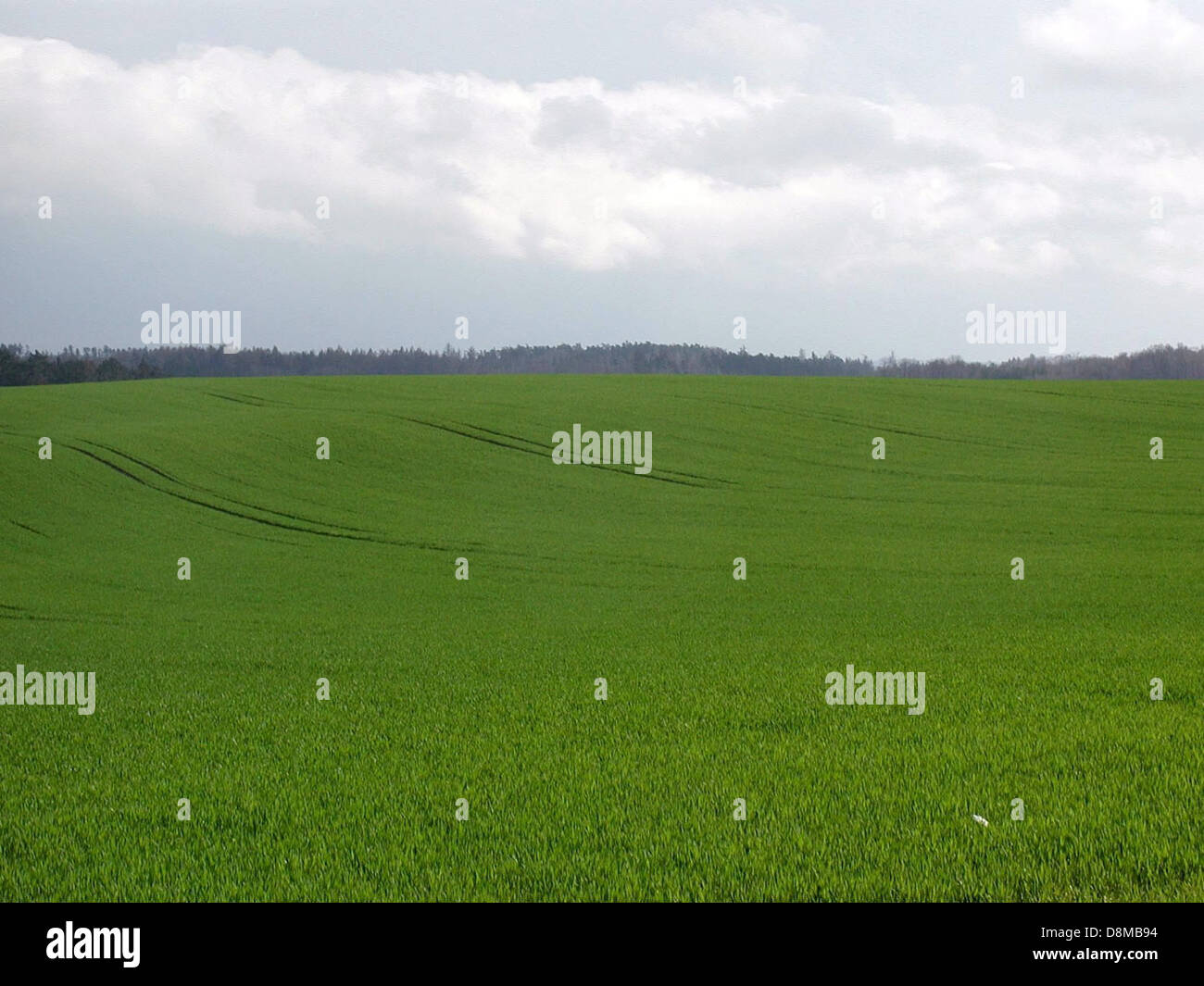 A field that has been sown with seeds, showing the early stages of crop ...