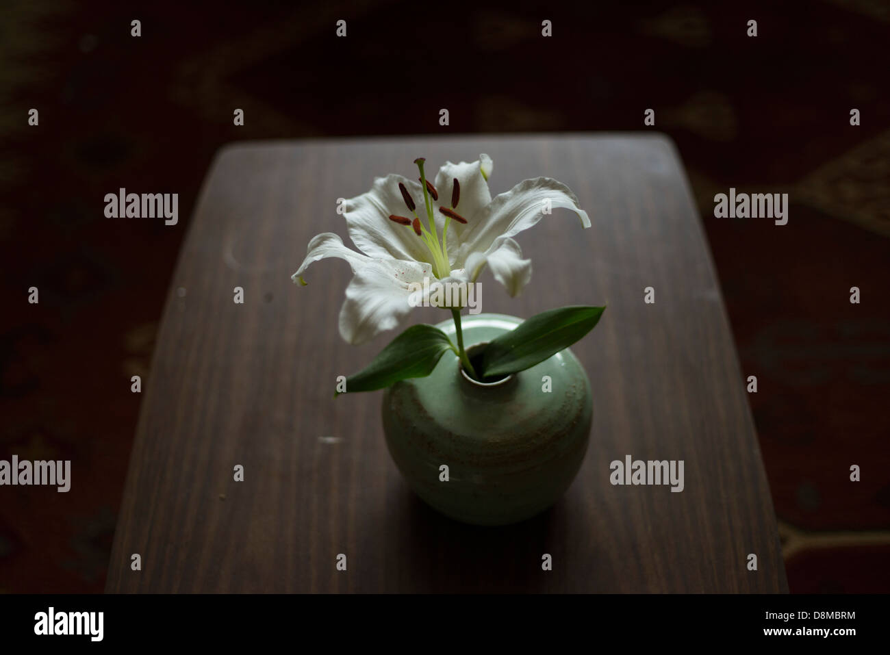 Asiatic Lily flower sitting on table Stock Photo - Alamy