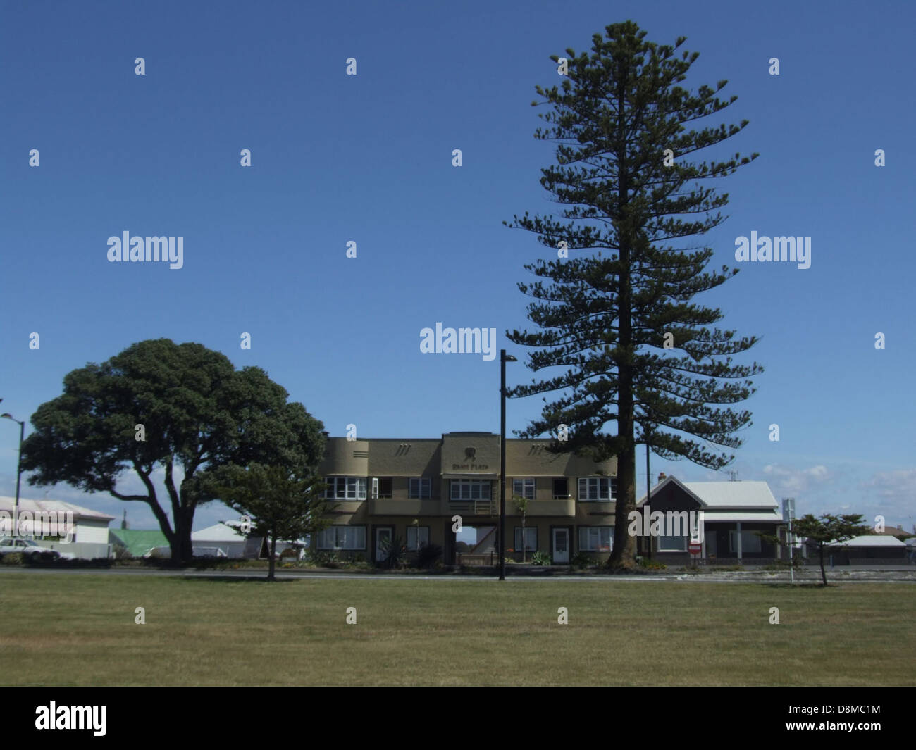 Art deco flats alongside an Araucaria heterophylla tree, a species of ...