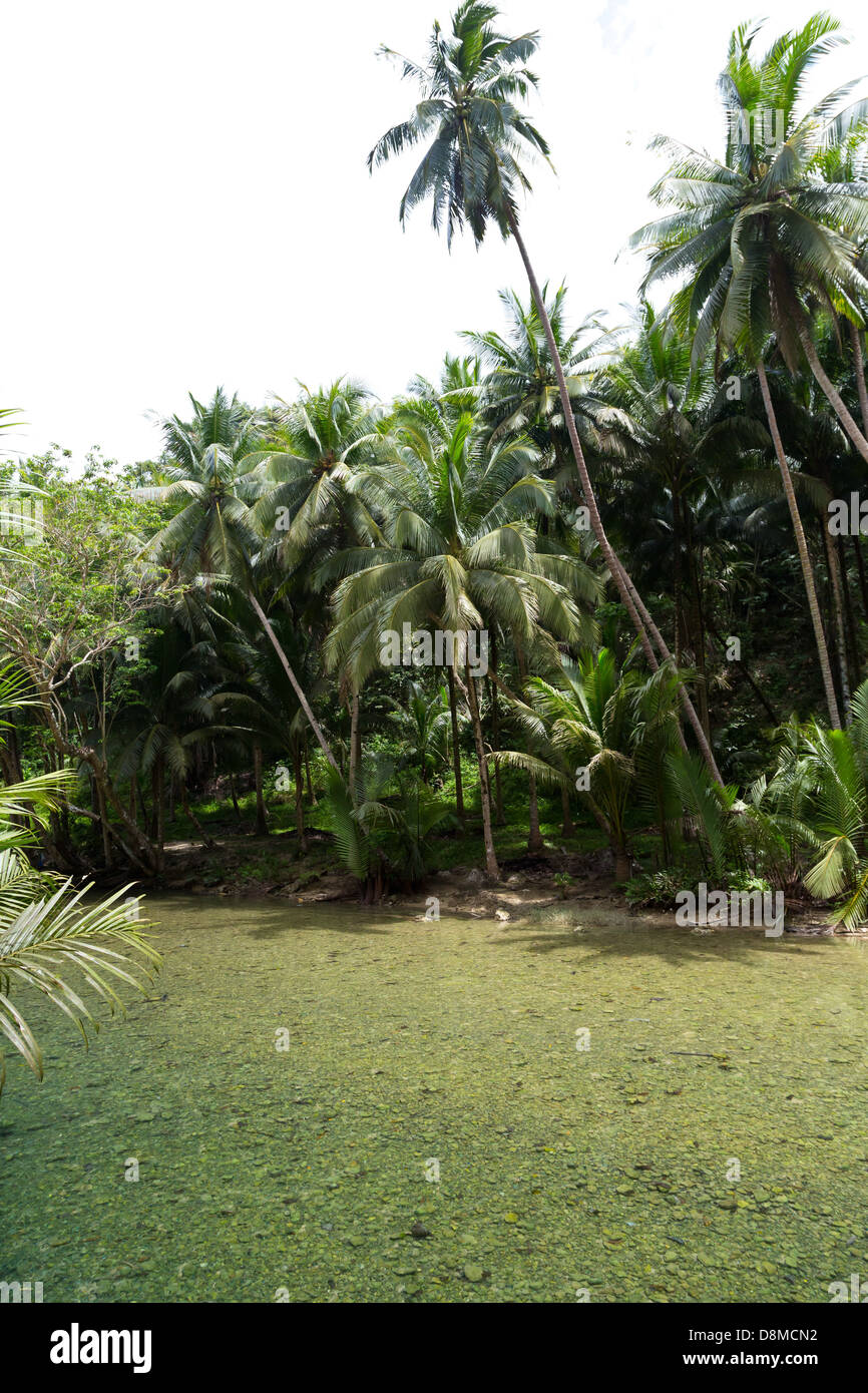 Creek leading up to the Kawasan Waterfalls in Badian on Cebu ...